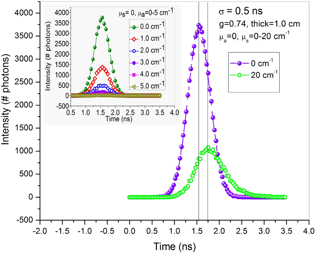 Nanosecond laser pulse propagating through turbid media: a numerical ...