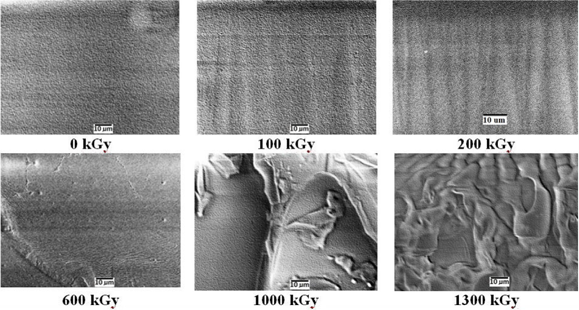 Enhanced surface hydrophobicity of poly(lactic acid) by Co60 gamma ray ...