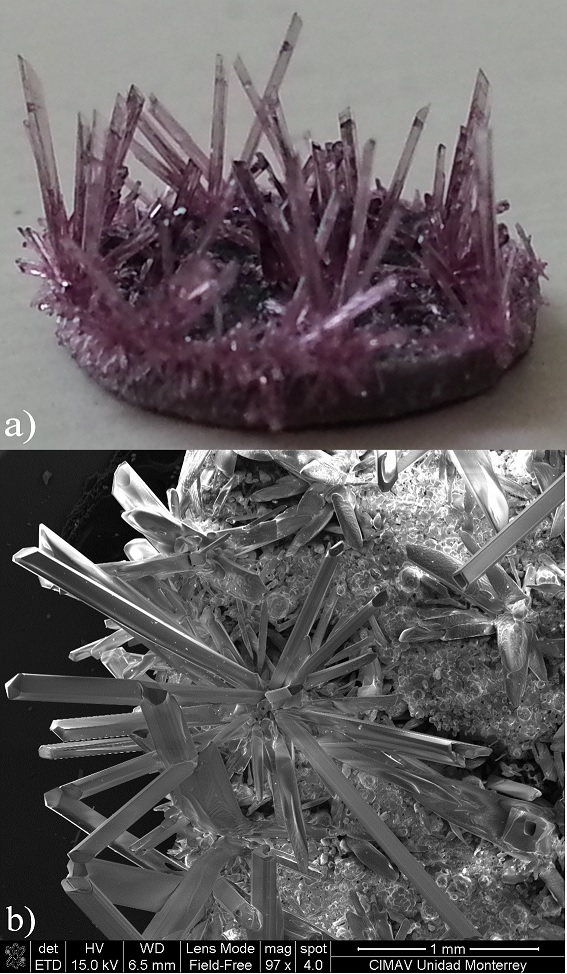 Inhibition grain growth and electrical properties by adding In2O3 to ...