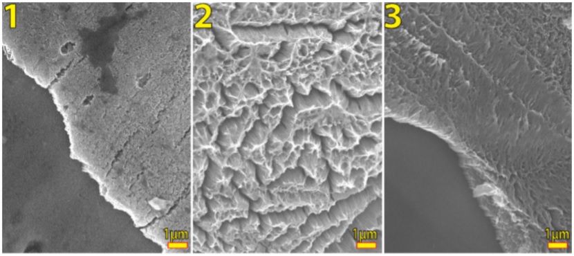 Growth of a TiO2 nanotubular layer without presence of nanograss in a ...