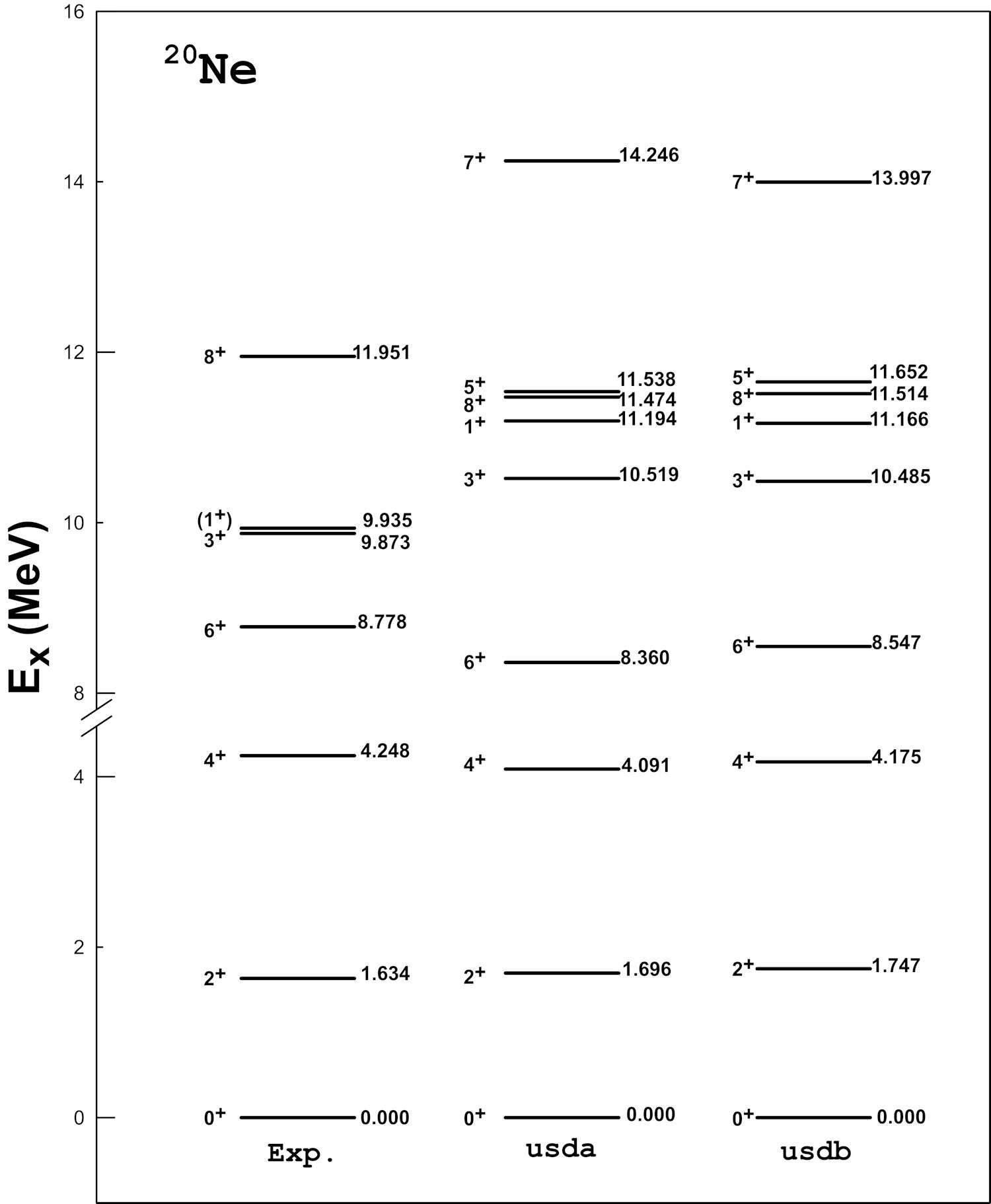 Nuclear structure study of 22,24Ne and 24Mg nuclei