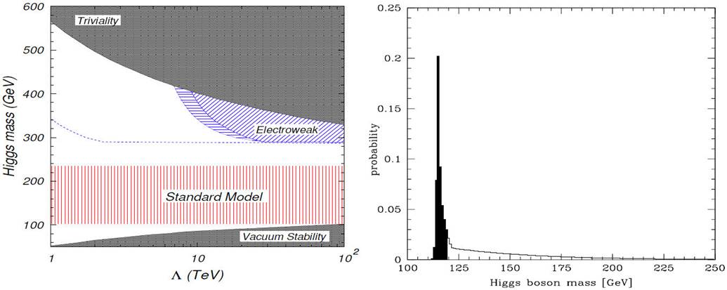 The Higgs profile in the standard model and beyond