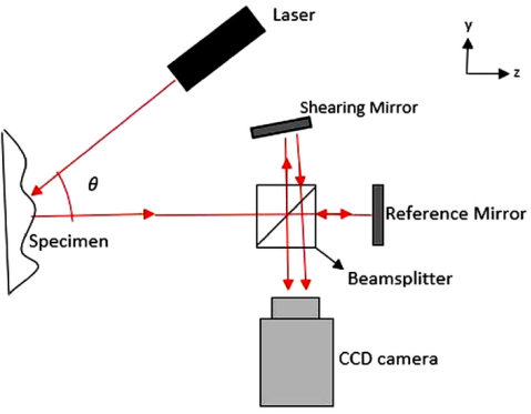 Shearography as a tool to measure creep strain in sealing elastomers