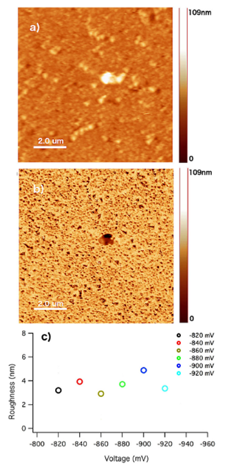Complementary atomic force microscopy and magnetic force microscopy ...