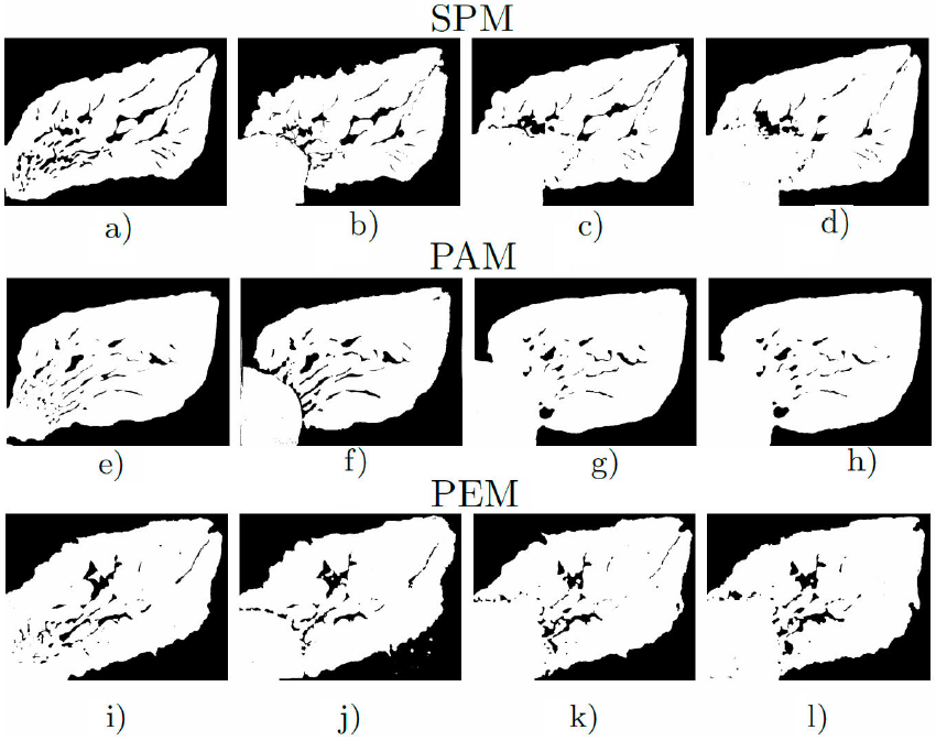Macroscopic visual displacement of a polymer solution for enhanced oil ...
