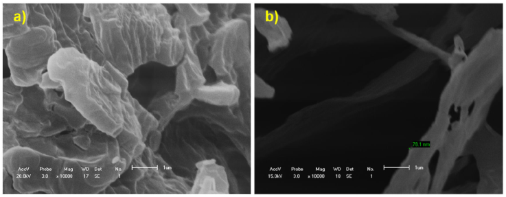 Structural and morphological study of Mn, Zn and Zr freeze-dried ...