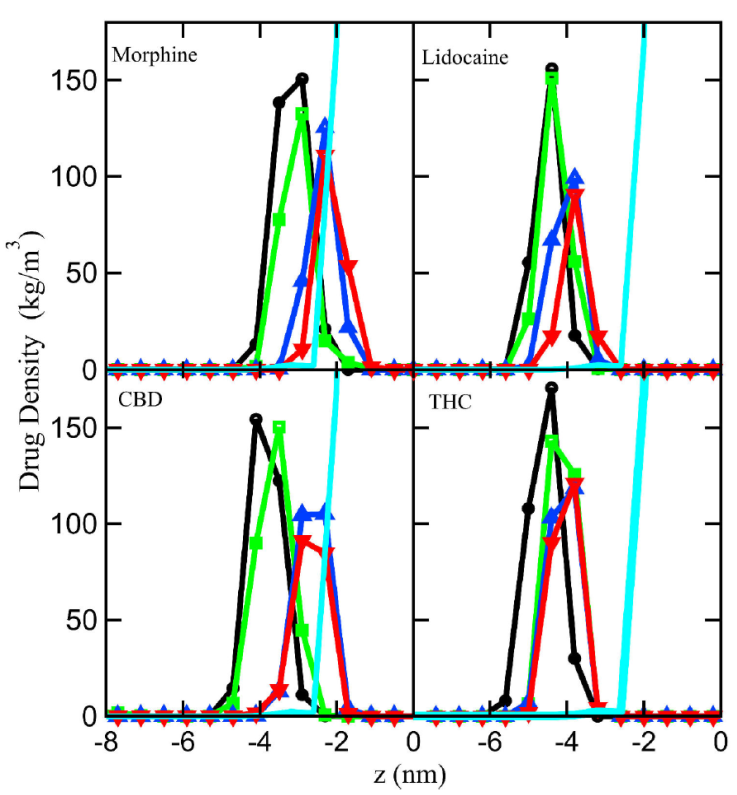 Molecular dynamics simulations of CBD and THC with a DPPC/DPPG ...
