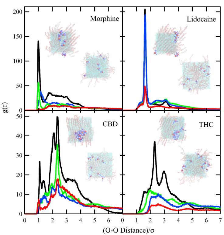 Molecular dynamics simulations of CBD and THC with a DPPC/DPPG ...