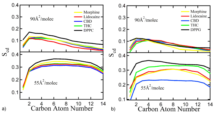 Molecular dynamics simulations of CBD and THC with a DPPC/DPPG ...