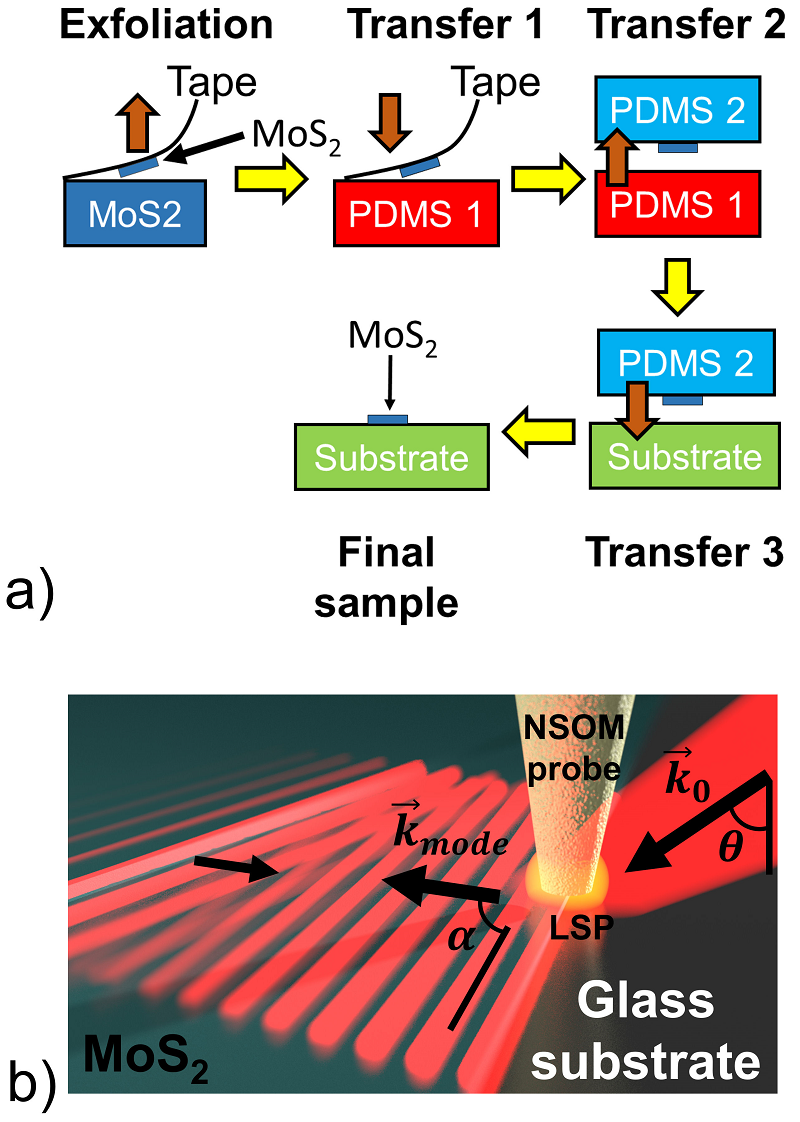 In-situ momentum dispersion in a single crystal of MoS2