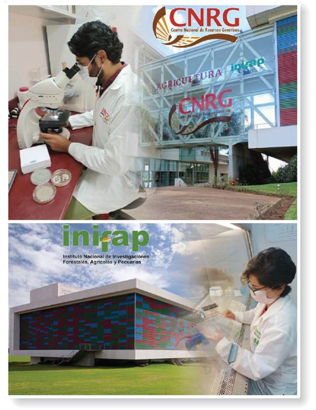 Microbial genetic resources in food security to face COVID-19 pandemic
