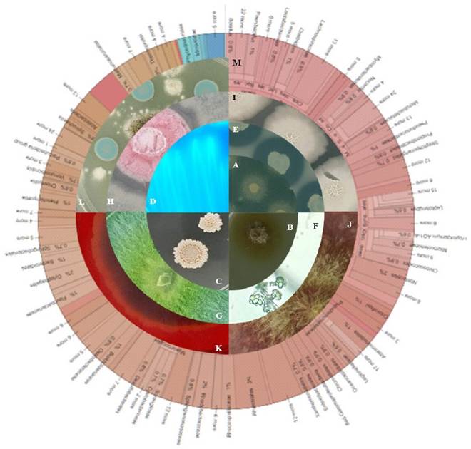 Microbial genetic resources in food security to face COVID-19 pandemic