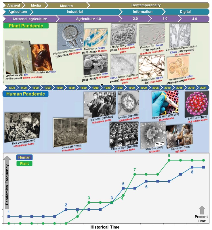 A retrospective analysis of plant and human epidemics for COVID-19 ...