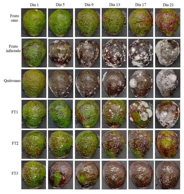 Biodegradable films with fungistatic activity for the postharvest ...