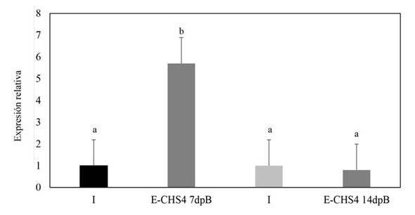 Gene silencing induced by the vector EuMY-YP∆CHS4 during the Fusarium ...