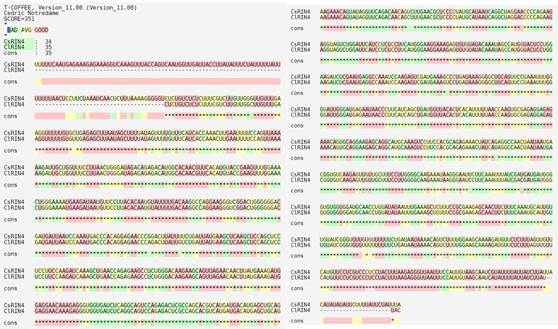 Expresión del complejo RPM1-RIN4-RPS2 en dos especies de cítricos con ...