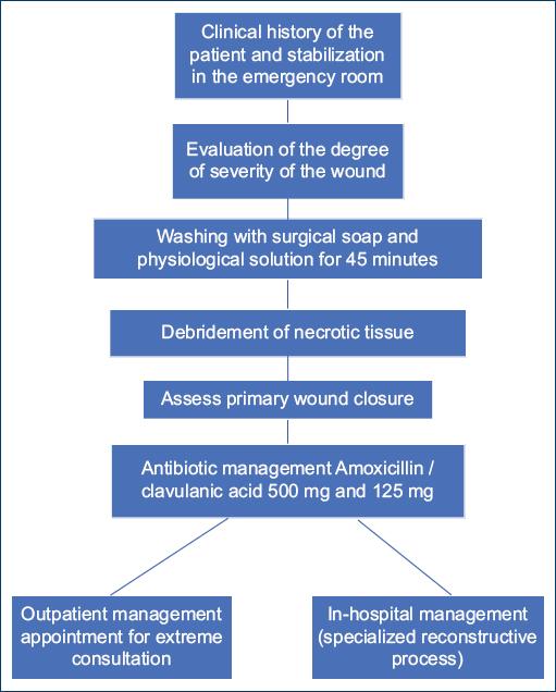 Experience in the management of injuries from dog bite in the plastic ...