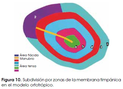 Modelos dinámicos isotrópico y ortotrópico de la membrana timpánica
