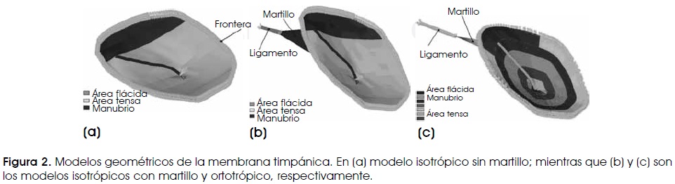 Modelos dinámicos isotrópico y ortotrópico de la membrana timpánica