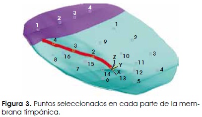 Modelos dinámicos isotrópico y ortotrópico de la membrana timpánica