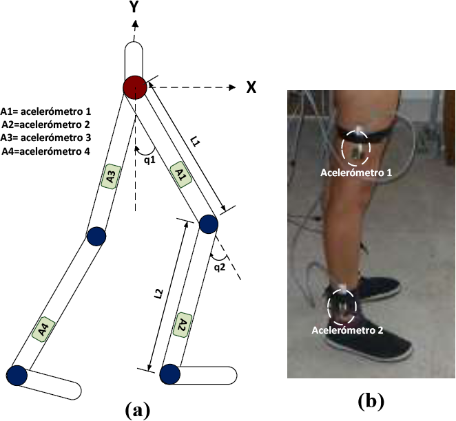 Algoritmo para estimación de ángulo de rodilla en marcha normal ...