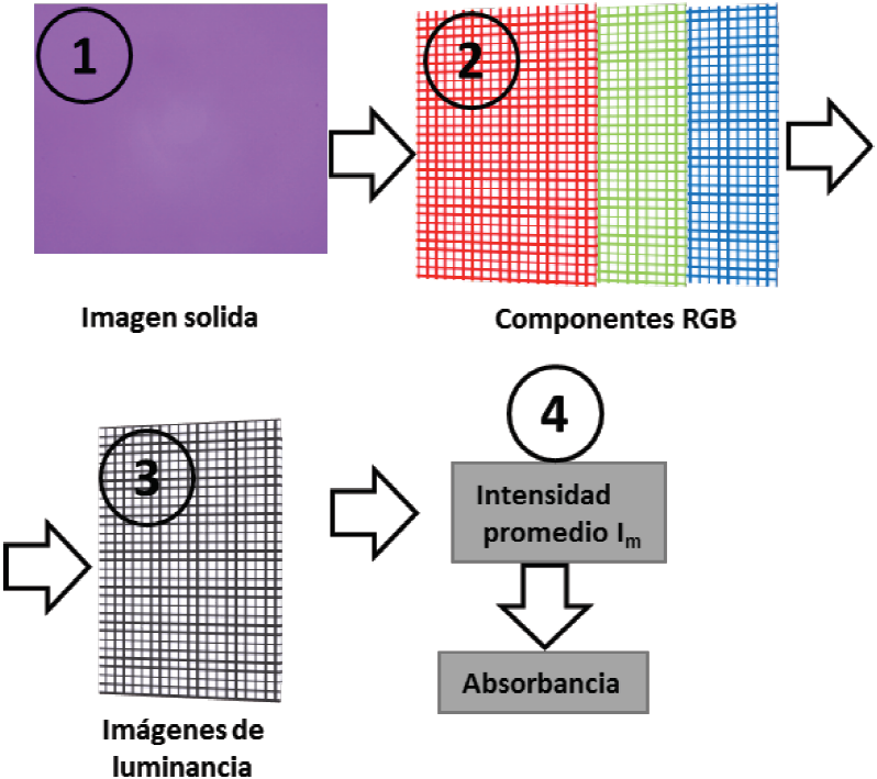 Microscopio como Lector de Absorbancia con Utilidad en Análisis Clínicos