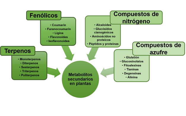 Uso de Biomateriales Funcionalizados con Moléculas Bioactivas en la ...