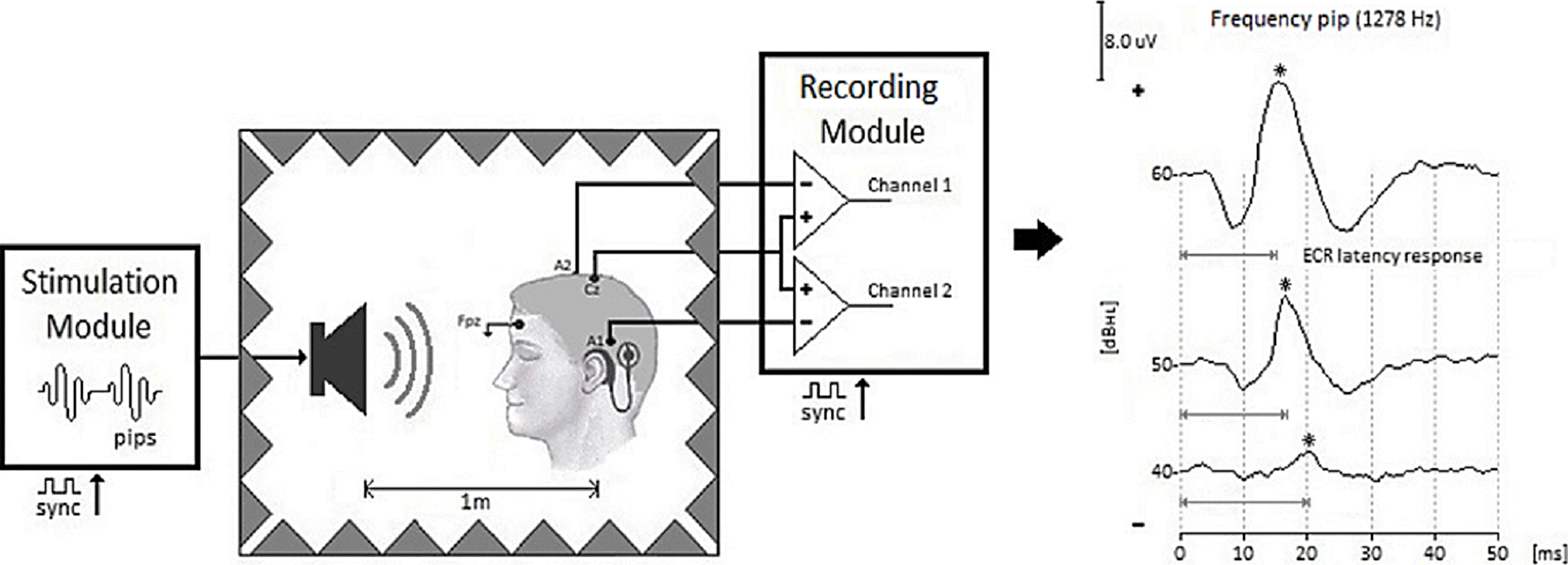 Electrical Cochlear Response as an Objective Measure of Hearing ...