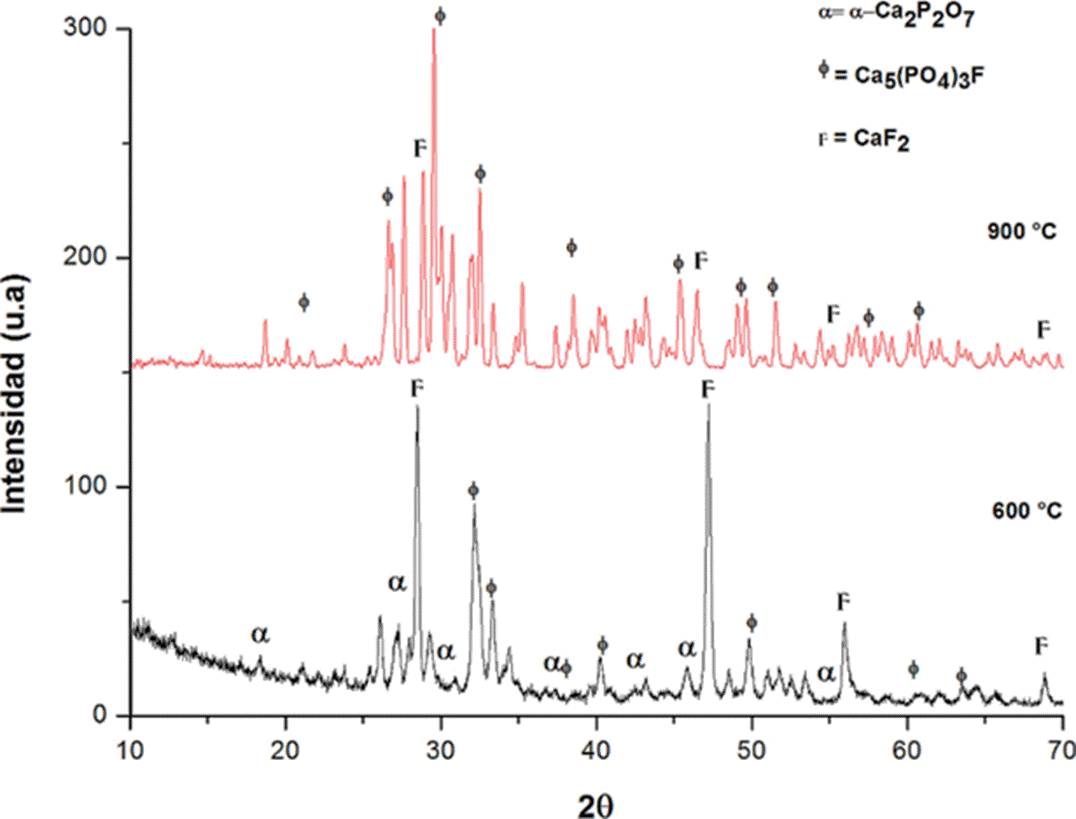 Antibacterial Activity Analysis of Hydroxyapatite Based Materials with ...