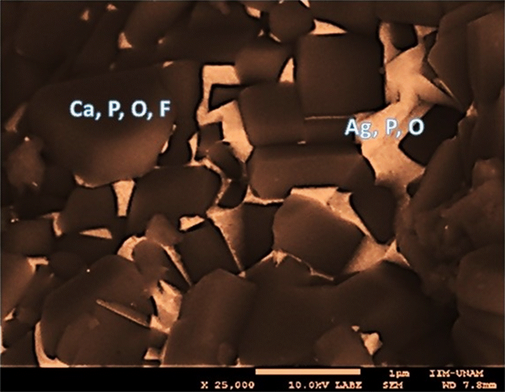 Antibacterial Activity Analysis of Hydroxyapatite Based Materials with ...
