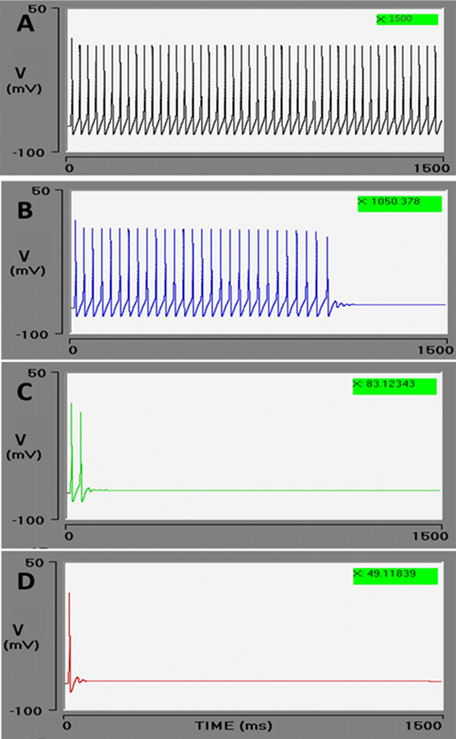 Theoretical Study of the Function of the IP3 Receptor/BK Channel ...