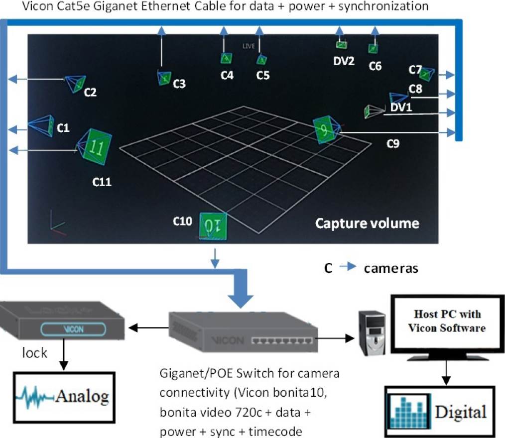 Biomechanics Assessment of Kinematic Parameters of Low-Sprint Start in ...