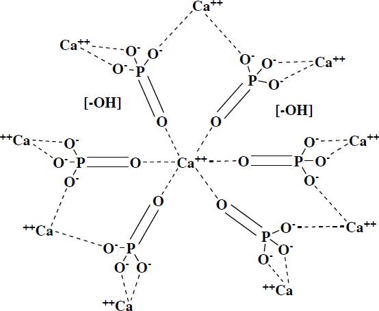 Hydroxyapatite and Biopolymer Composites with Promising Biomedical ...
