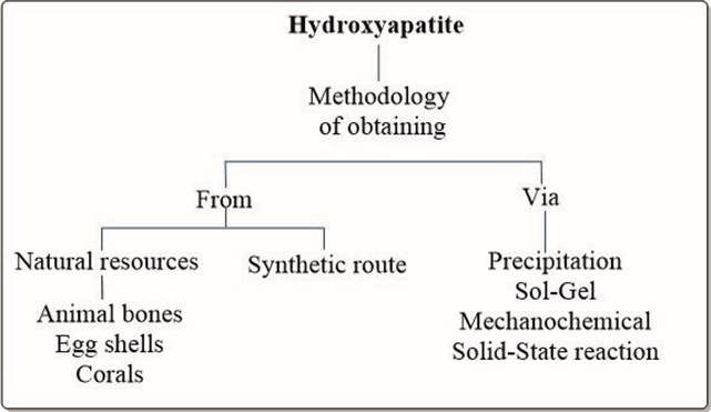 Hydroxyapatite and Biopolymer Composites with Promising Biomedical ...