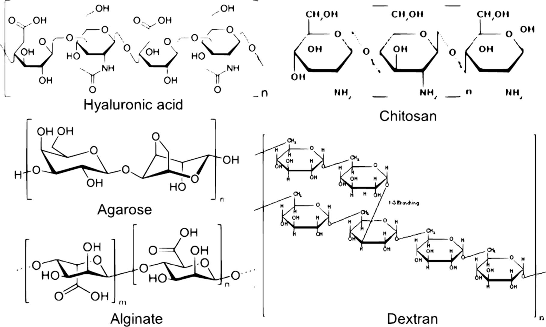 Novel Studies in the Designs of Natural, Synthetic, and Compound ...
