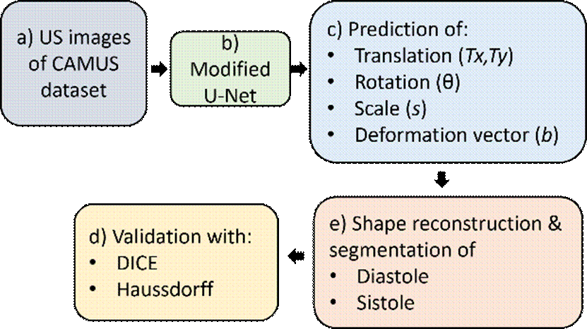 A U-Net with Statistical Shape Restrictions Applied to the Segmentation ...