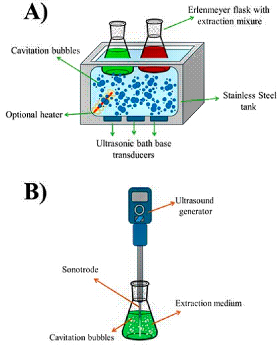 Salvia rosmarinus Spenn. Main Applications and Ultrasonic Extraction of ...