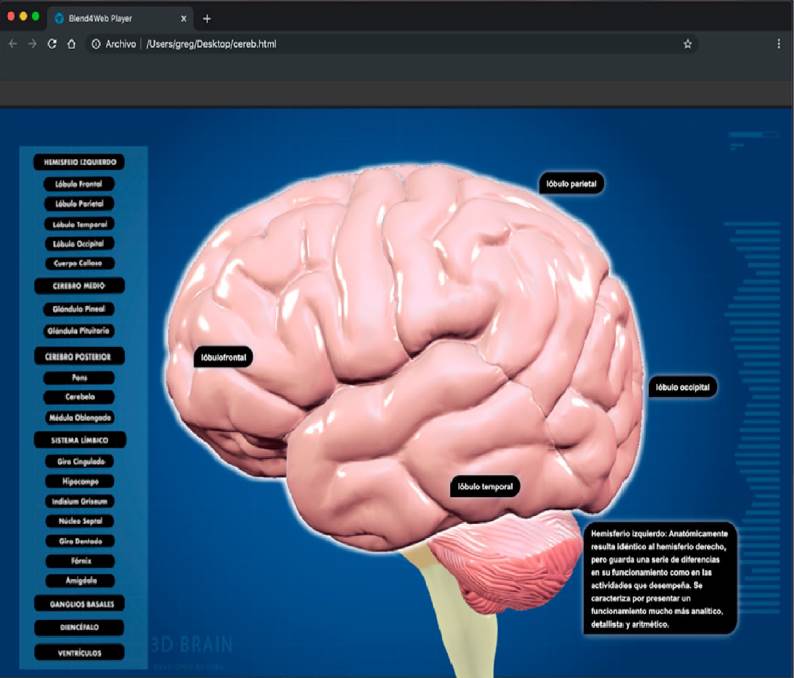 Anatomía Interactiva En 3d