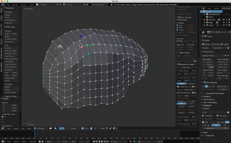 Web-based Interactive 3D Modeling and Visualization of the Human Brain ...