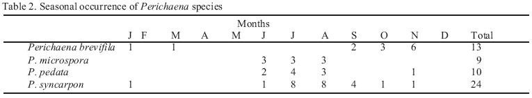 Myxomycete species concepts, monotypic genera, the fossil record, and ...
