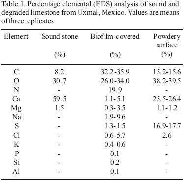 Influence of fungi in the weathering of limestone of Mayan monuments