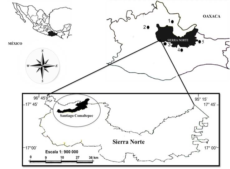 Diccionario Chinanteco De Usila - Rela