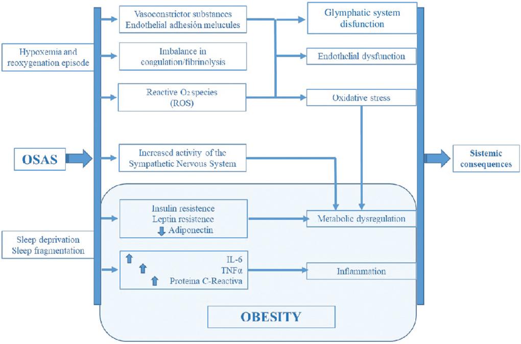 Obstructive sleep apnea (OSA) should be considered a comorbidity as a ...