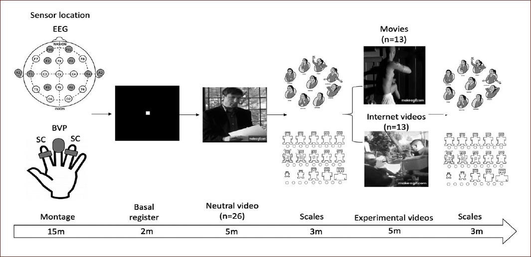 The observation of real videos and movie clips with anger content ...
