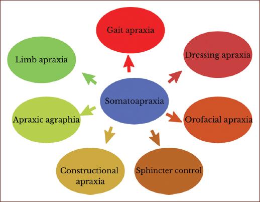 Somatodyspraxia: A novel term proposition as a primary factor of ...