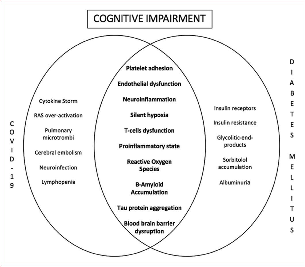 COVID-19 and diabetes mellitus in cognitive impairment: an undrawn ...