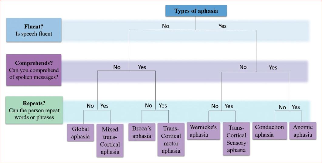 Semiology of the neurocritical patient: understanding the language of ...