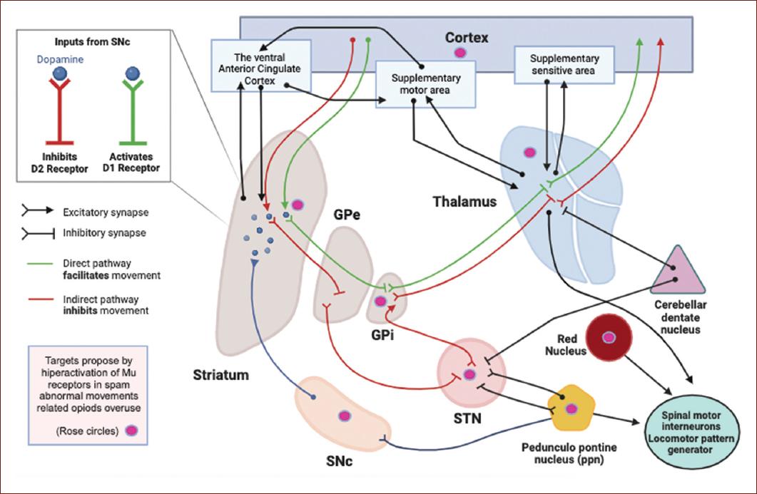 Movement disorders in opioid users observed in the social networks: a ...