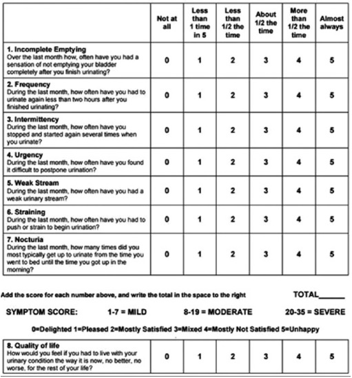 Visual prostate symptom score (VPSS). Is it an effective alternative ...