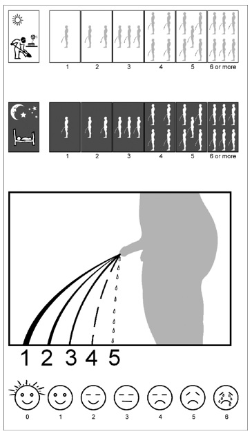 Visual prostate symptom score (VPSS). Is it an effective alternative ...